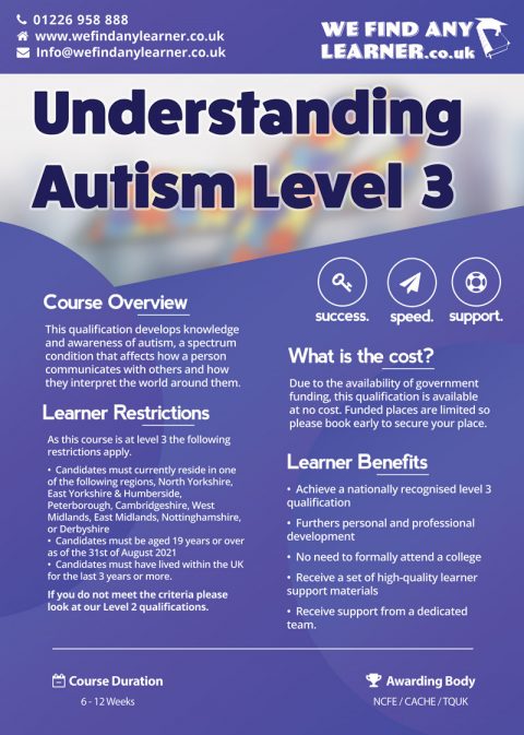 Understanding Autism Level 3 | We Find Any Learner